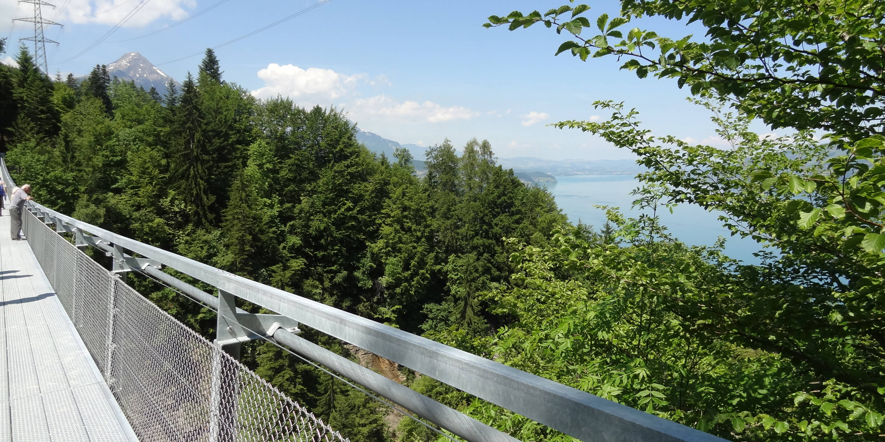 Panoramabrücke Leissigen